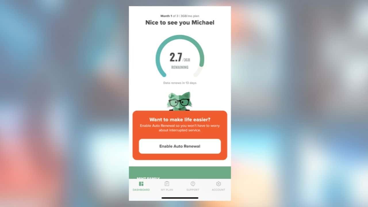 Mint Mobile Review: 7 Things to Know Before You Sign Up - Michael Saves